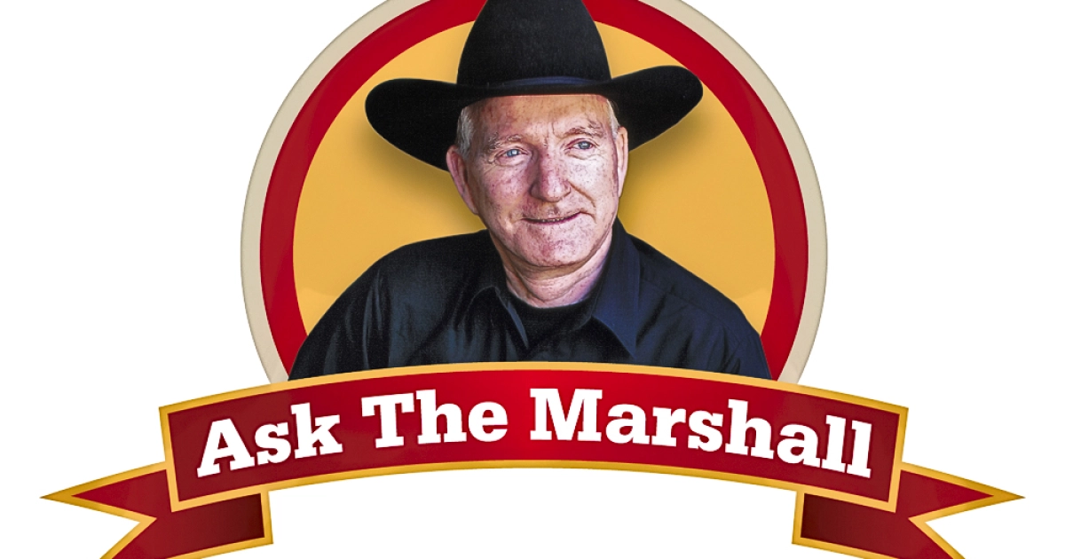 In the cowboy song “Old Paint,” the singer sings, “I lead an old Dan ...