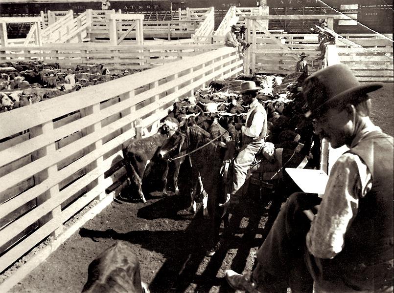 The Last Hash Knife Cowboy - True West Magazine