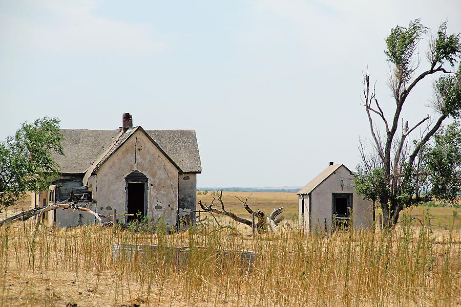 Give Me a Homestead - True West Magazine