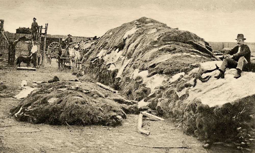 The Buffalo Hunters' War - True West Magazine