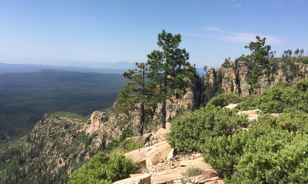 Mogollon Rim - True West Magazine