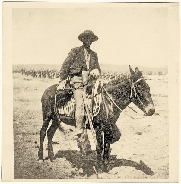 The History of Mules - True West Magazine