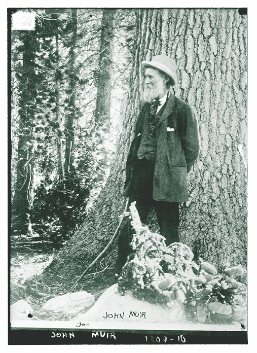 Truth Be Known - True West Magazine