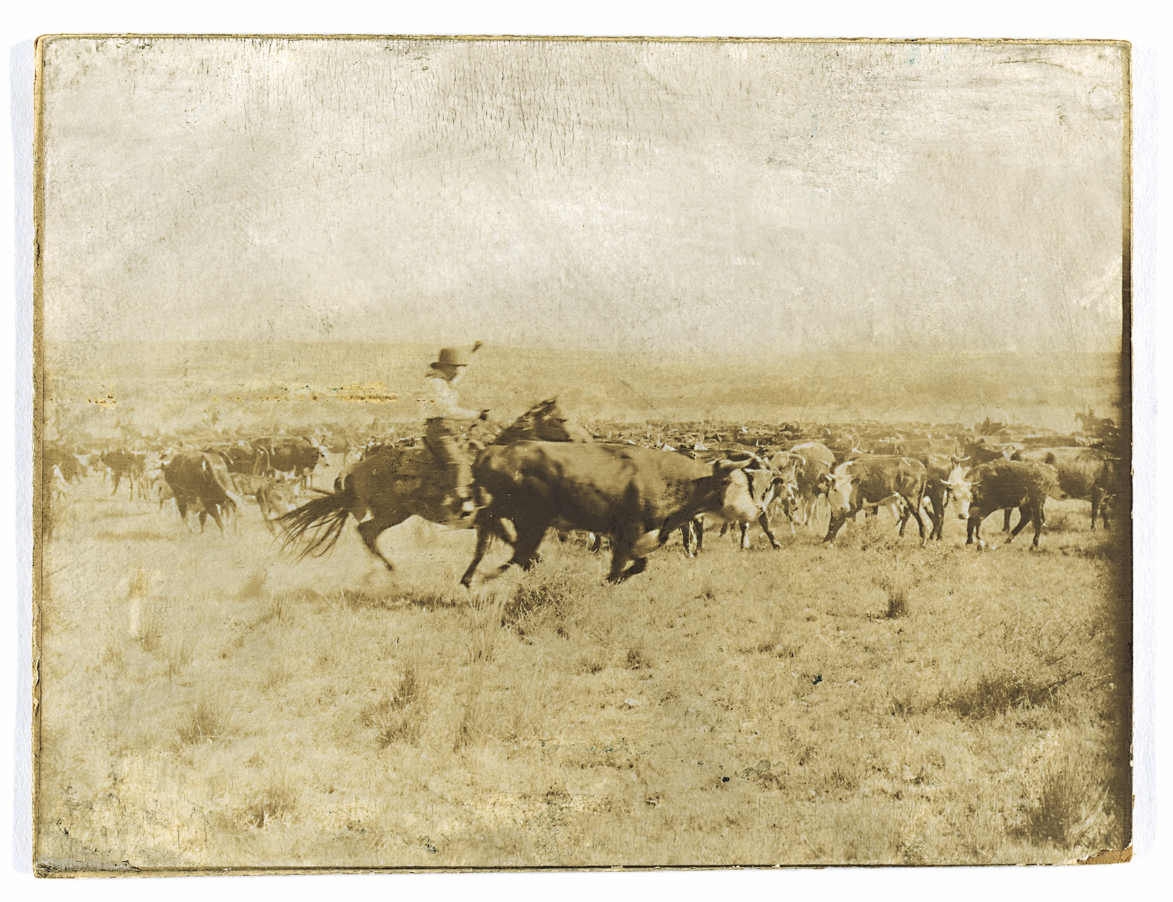The Cowboy - True West Magazine