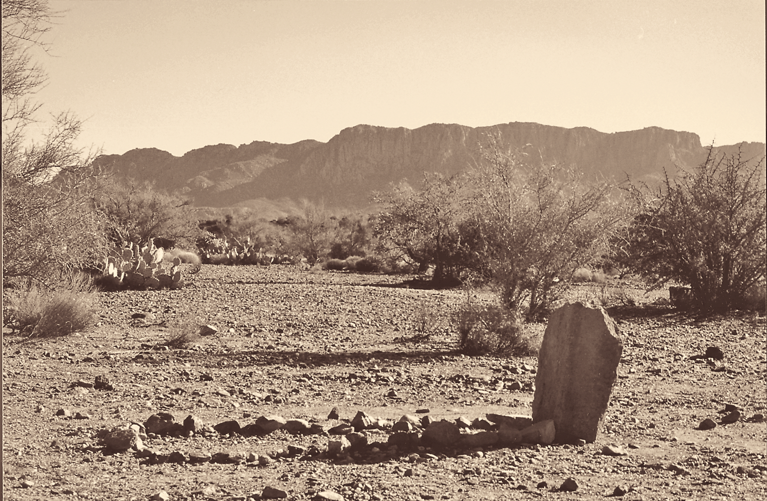 Classic True West: Mattie Earp’s Grave