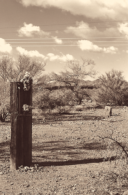 Classic True West: Mattie Earp’s Grave